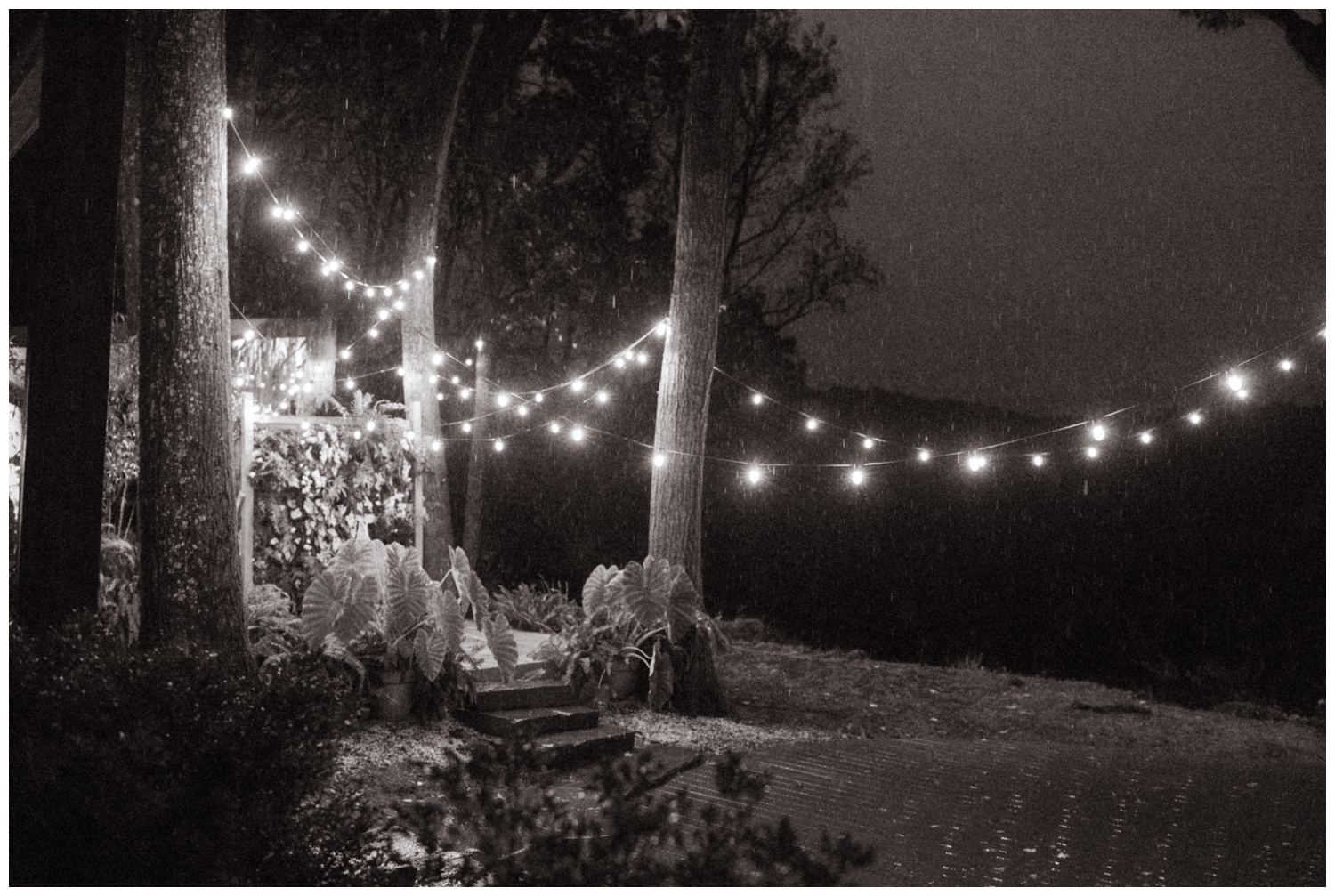 Intimate Promise Ridge Wedding — JASON MOODY